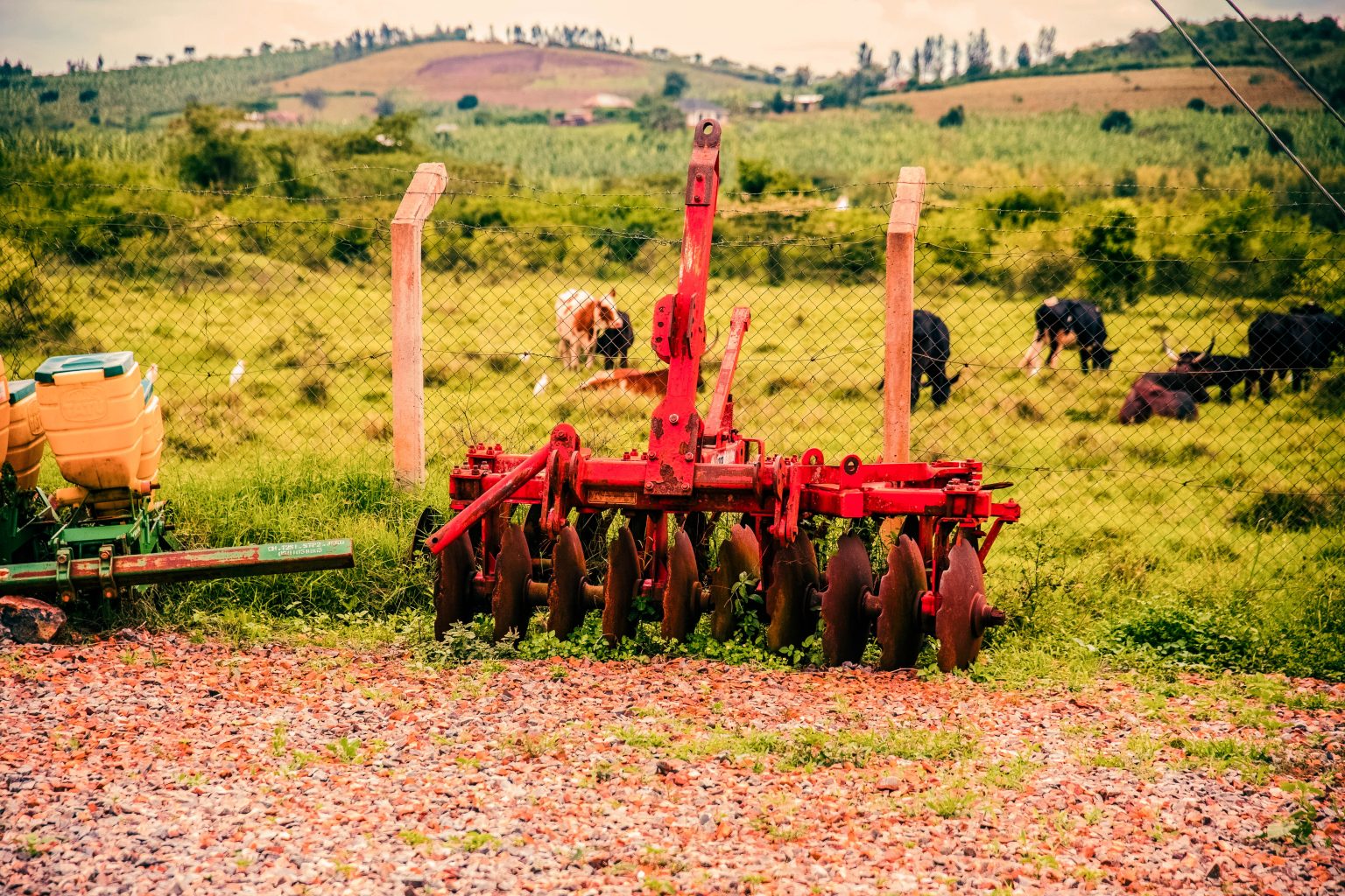 WWOOFing in Italy - The Elle Atlas